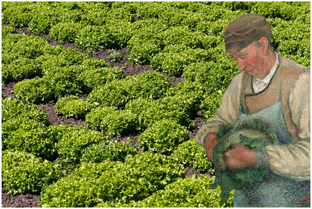 Composing-Rätsel 17/60 Foto & Bild | quatsch, fun und rätselecke ...