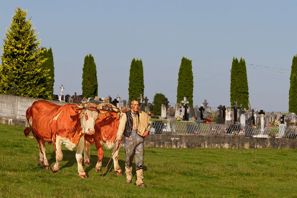 Composing-Rätsel Nr. 81 Foto & Bild | quatsch, fun und rätselecke ...