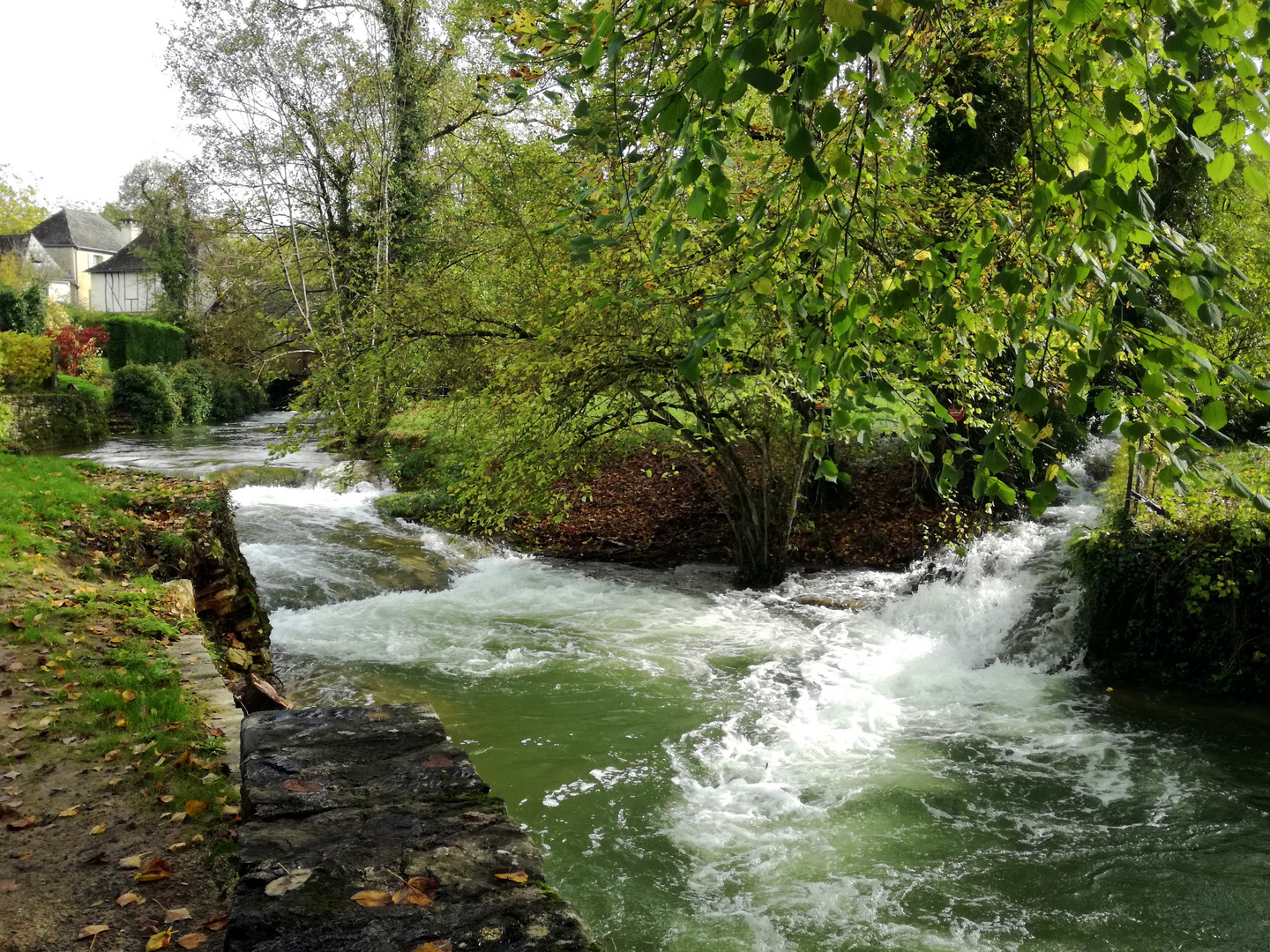 Condat sur Vezere, Dordogne photo et image | france, world, europe ...