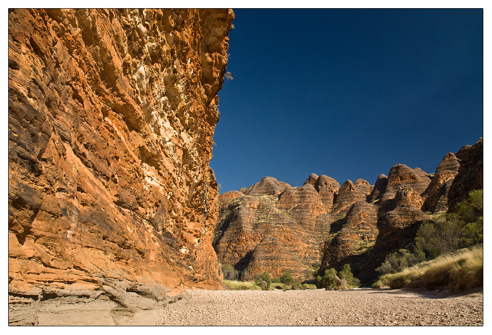 [ congratulations: you've been bungled ] Foto & Bild | australia ...