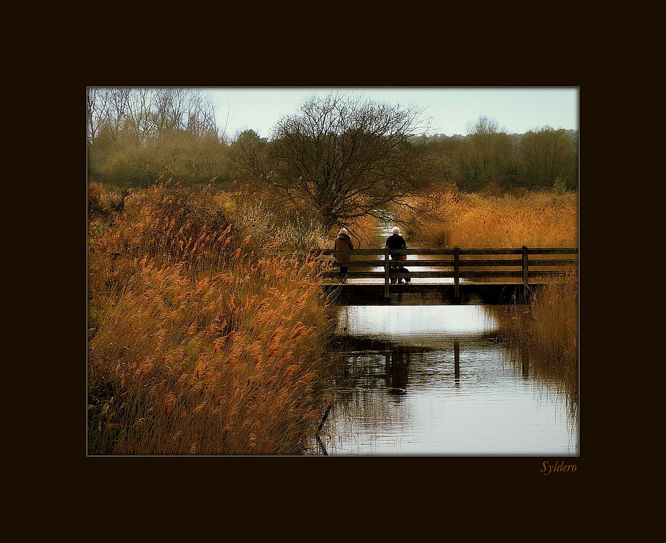 Contemplation photo et image | paysages, nature Images fotocommunity