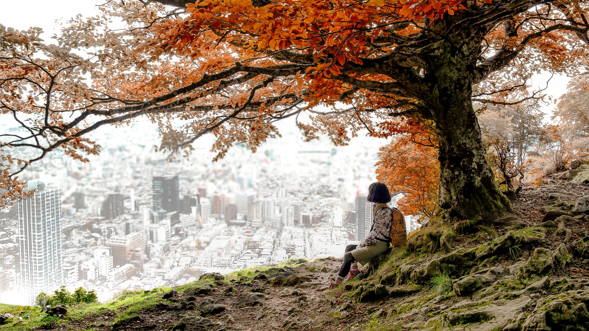 Contemplation Urbaine photo et image | paysages, nature Images ...