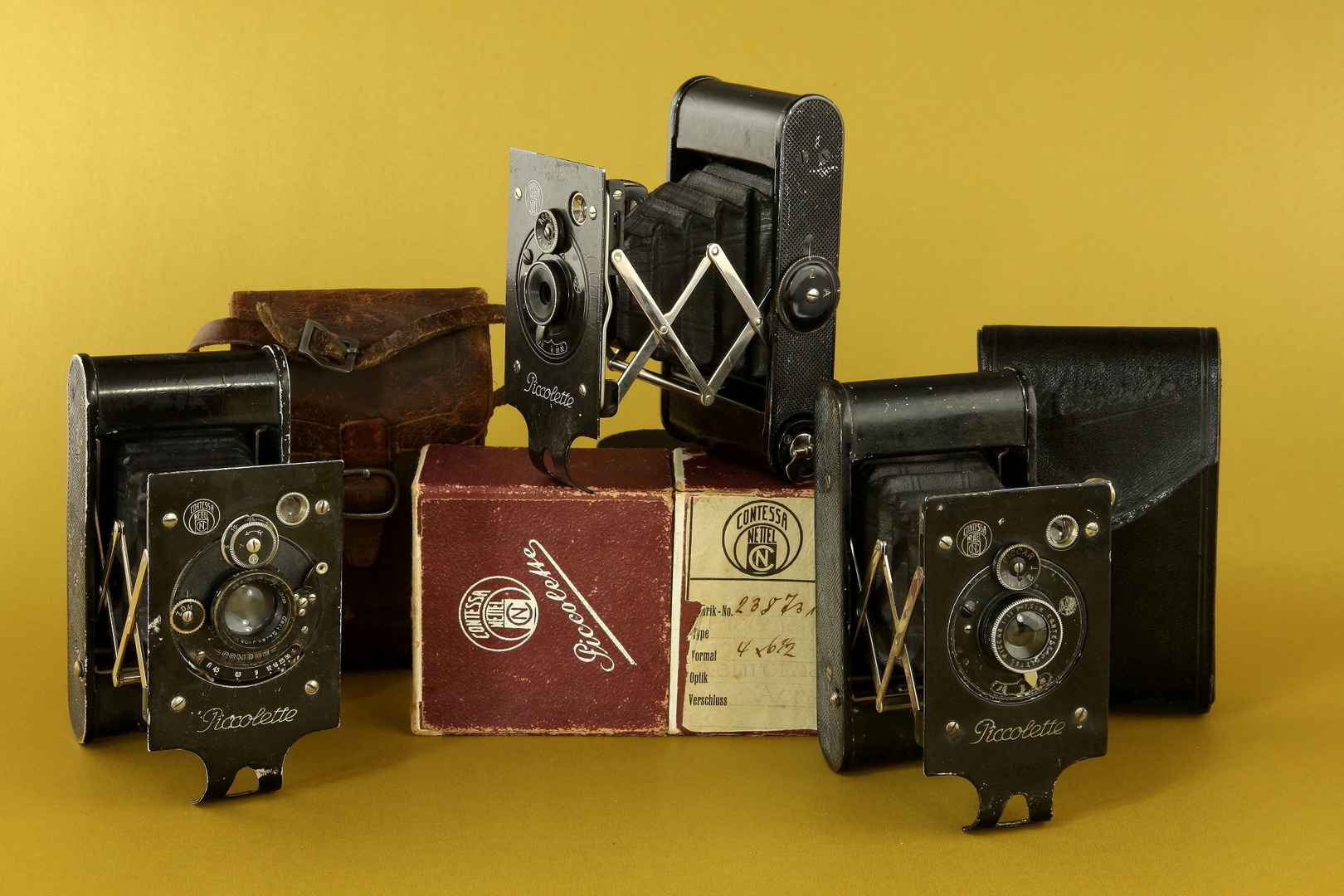 Contessa Nettel Piccolette Foto & Bild | dokumentation ...