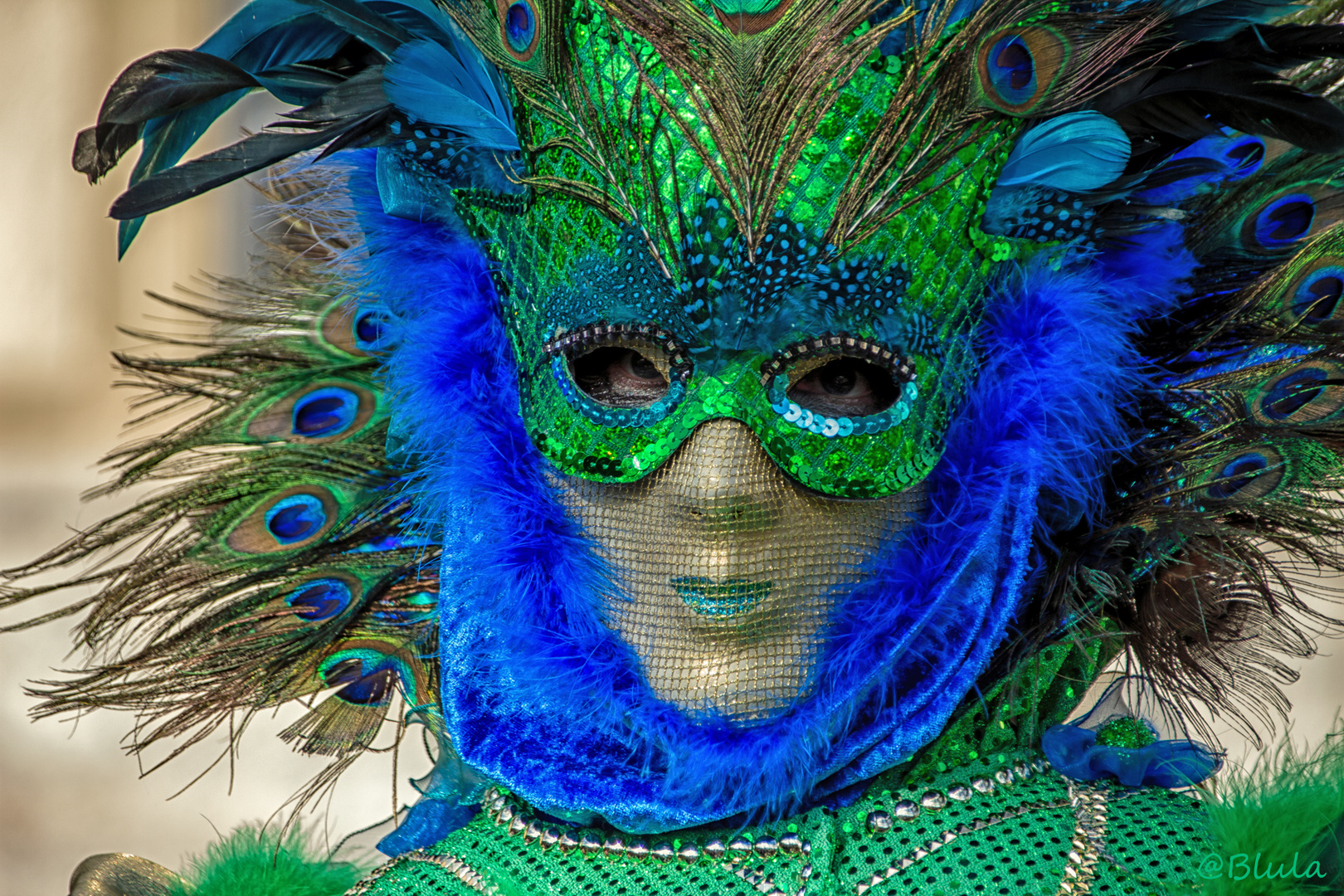 Contessa Pavone Foto & Bild | karneval, outdoor, deutschland Bilder auf ...