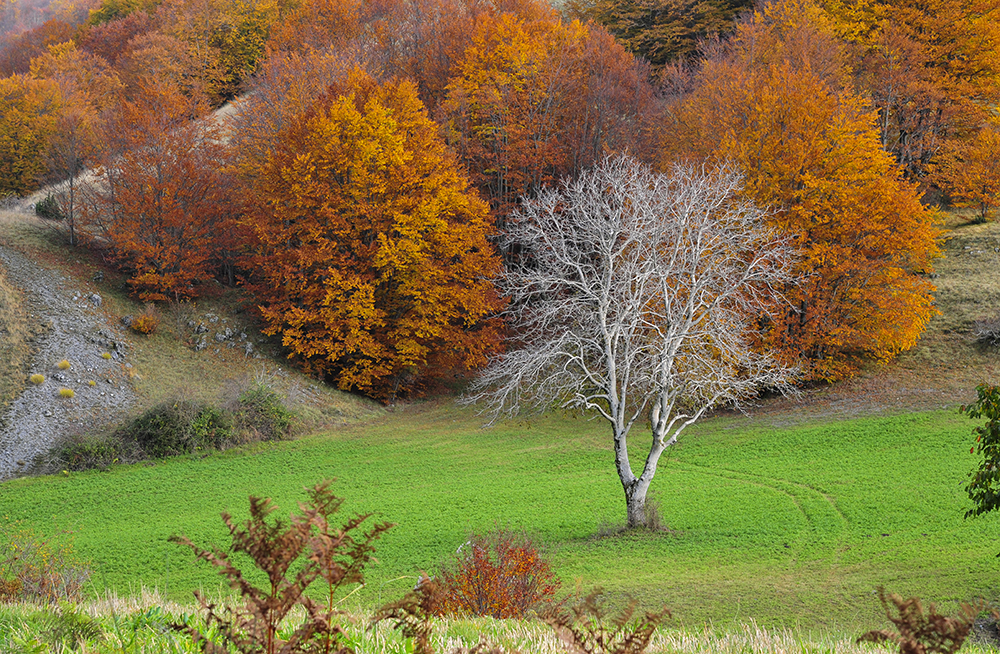 Contrasto Foto % Immagini| paesaggi, montagna, natura Foto su fotocommunity