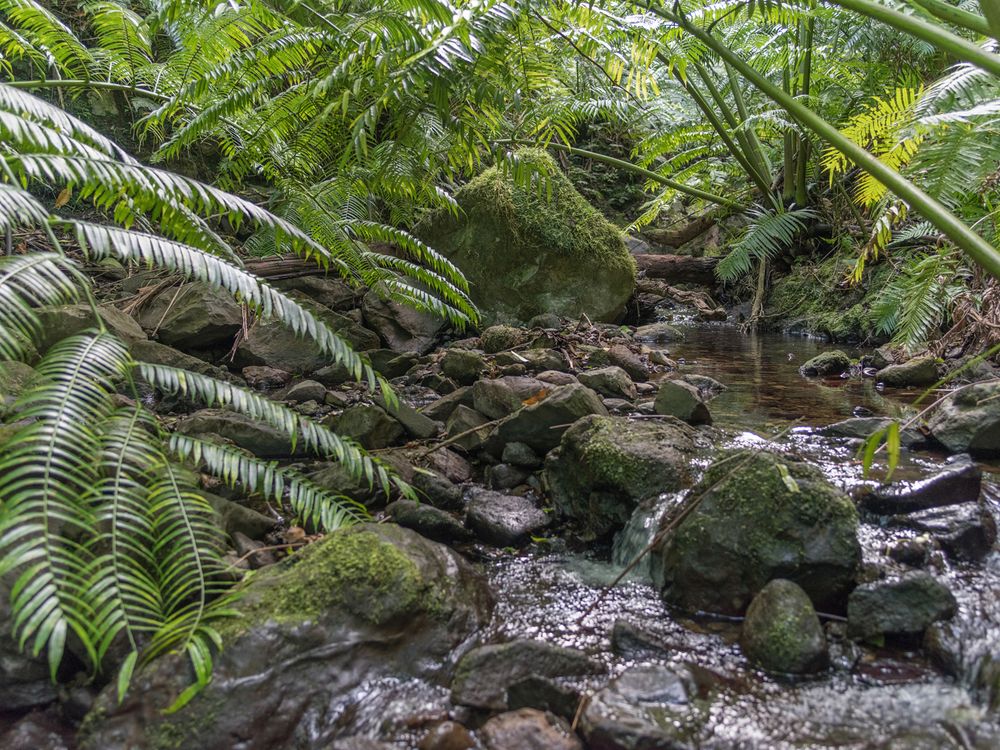 cook islands 11 Foto & Bild | australia & oceania, oceania, landschaft ...