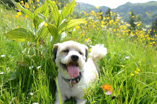 Claus Cullmann - Fotos & Bilder - Fotograf aus Thalexweiler ...