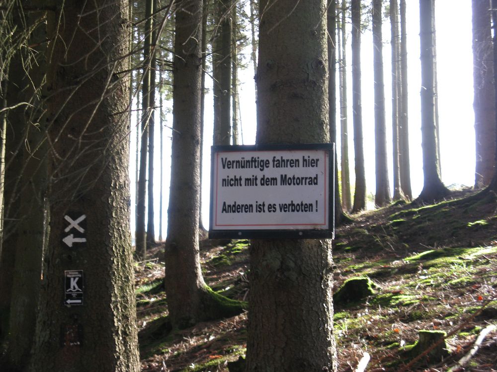 Cooler Spruch Foto & Bild | quatsch, fun und rätselecke, witzige ...