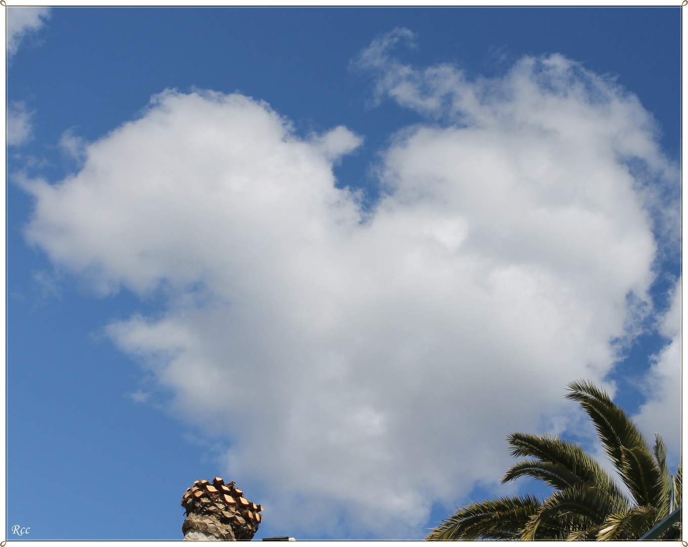 cor de nuvol Imagen & Foto | cielo y universo, naturaleza Fotos de ...