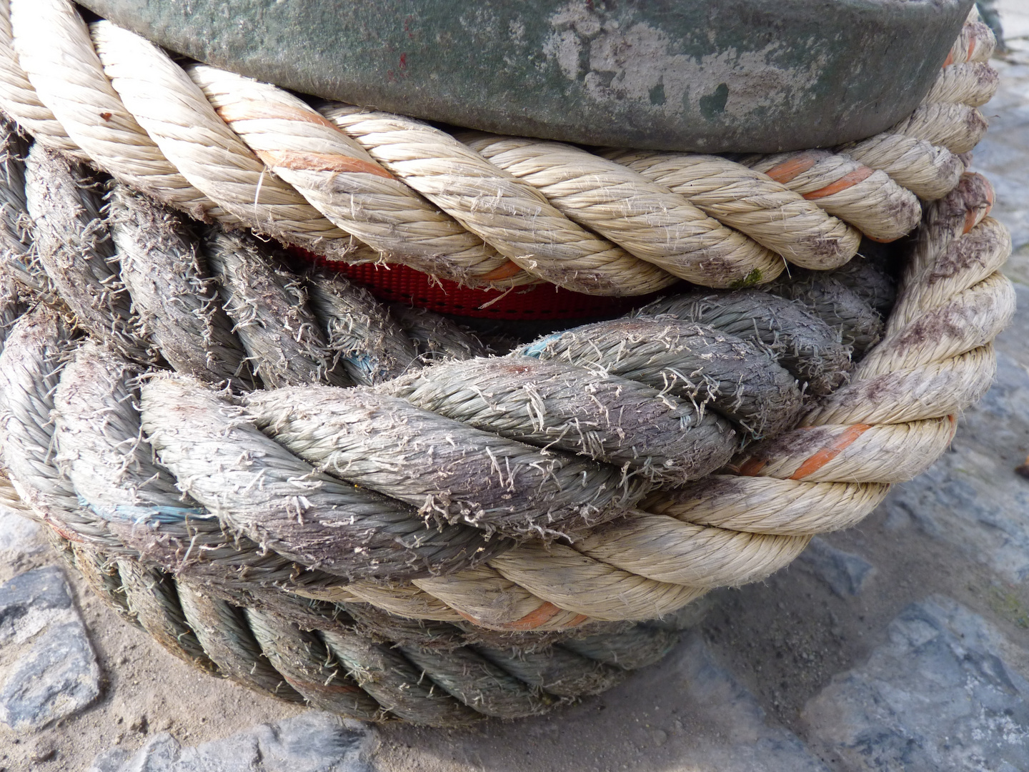 Corde . photo et image | macro nature, macro divers, nature Images ...