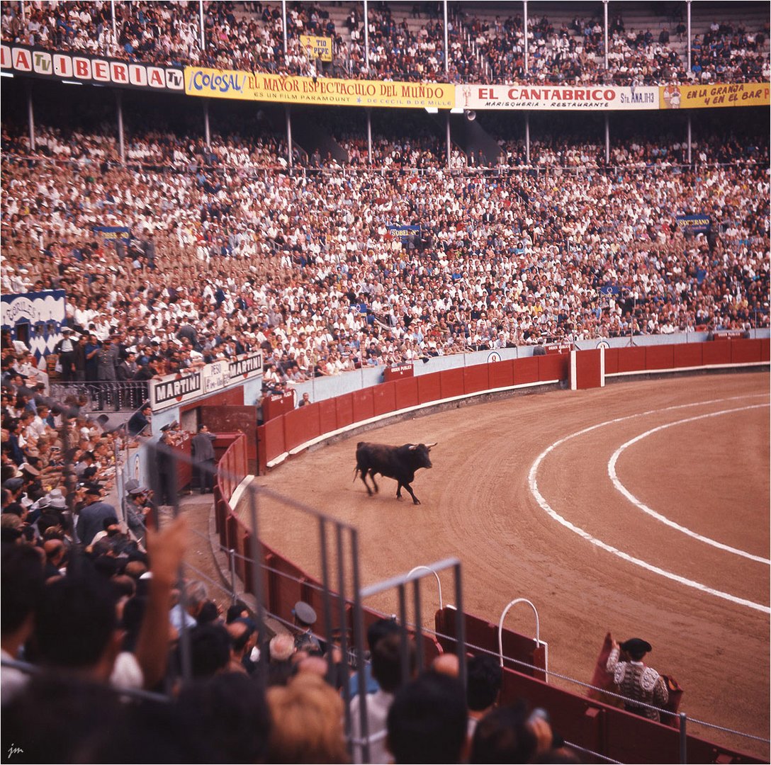 Corrida Foto & Bild | fotos, world, spezial Bilder auf fotocommunity