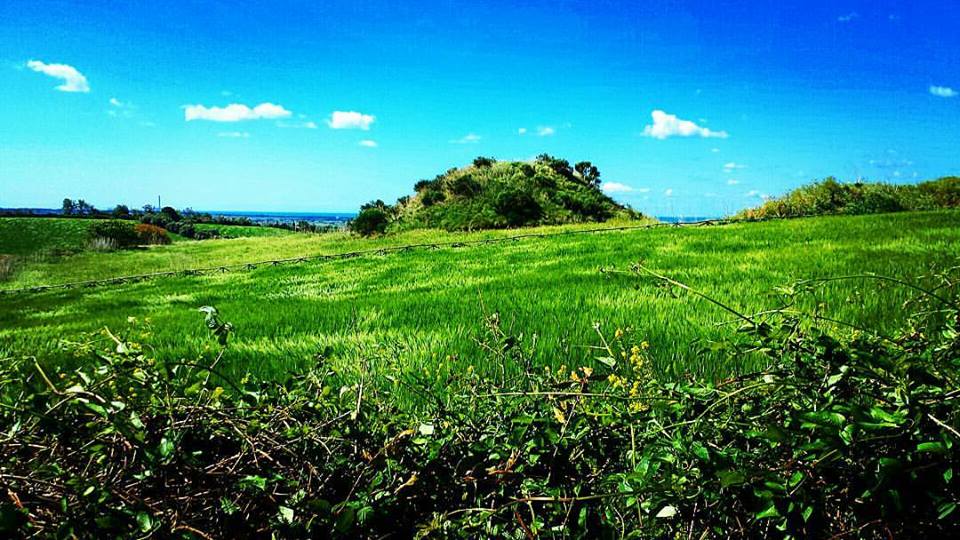 corsetta in campagna Foto % Immagini| paesaggi, campagna, natura Foto ...