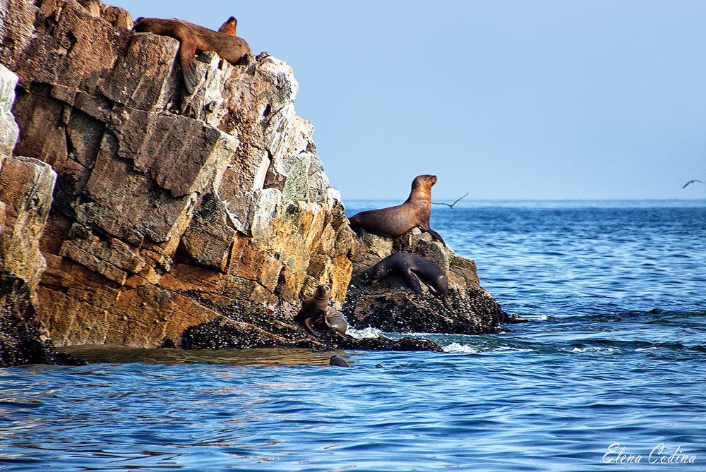 Costa Peruana Imagen & Foto | naturaleza Fotos de fotocommunity