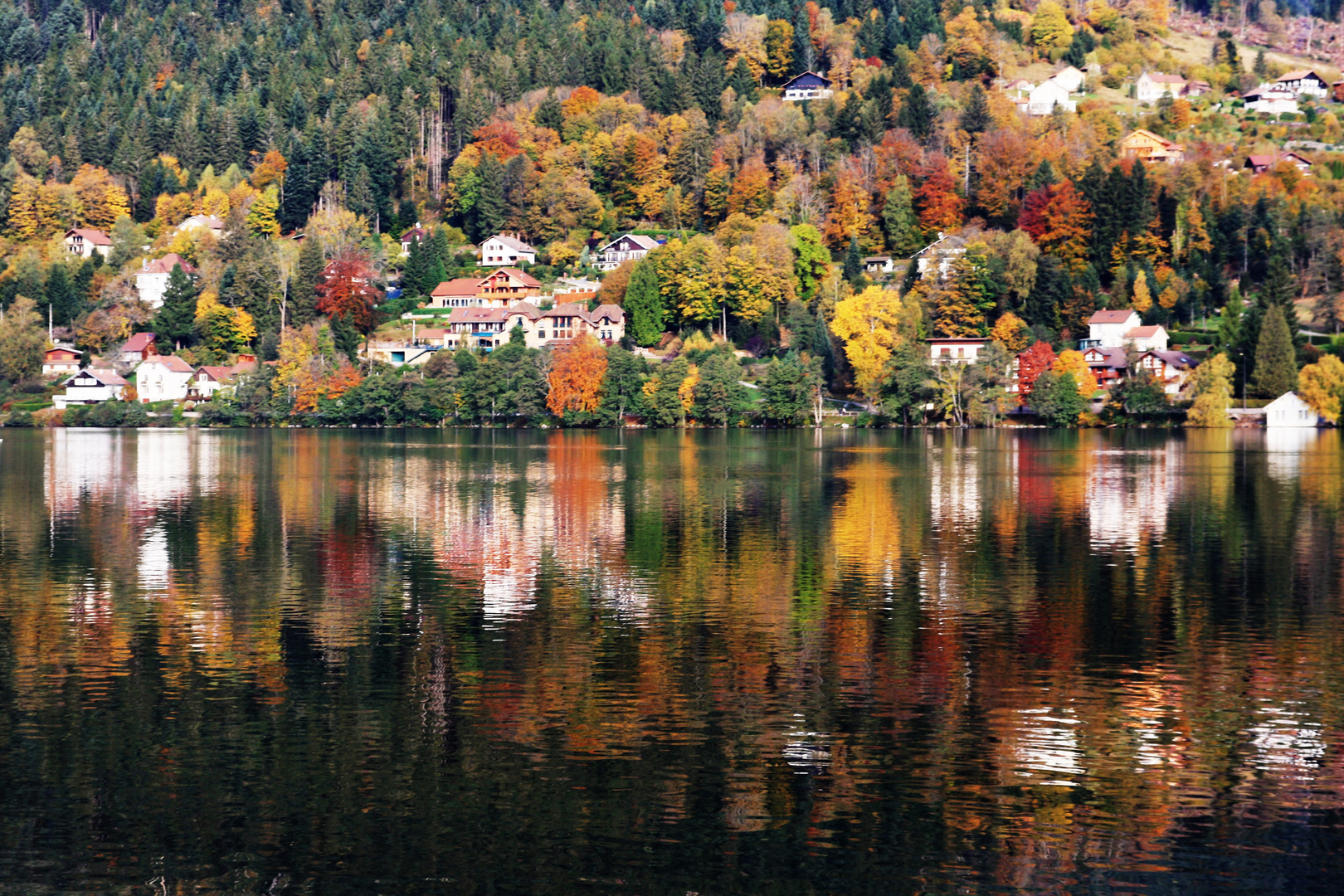 Couleurs d'automne. photo et image | les saisons, automne, lac ...