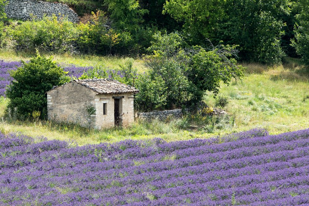 Couleurs de la Provence Foto & Bild | europe, france, provence-alpes ...