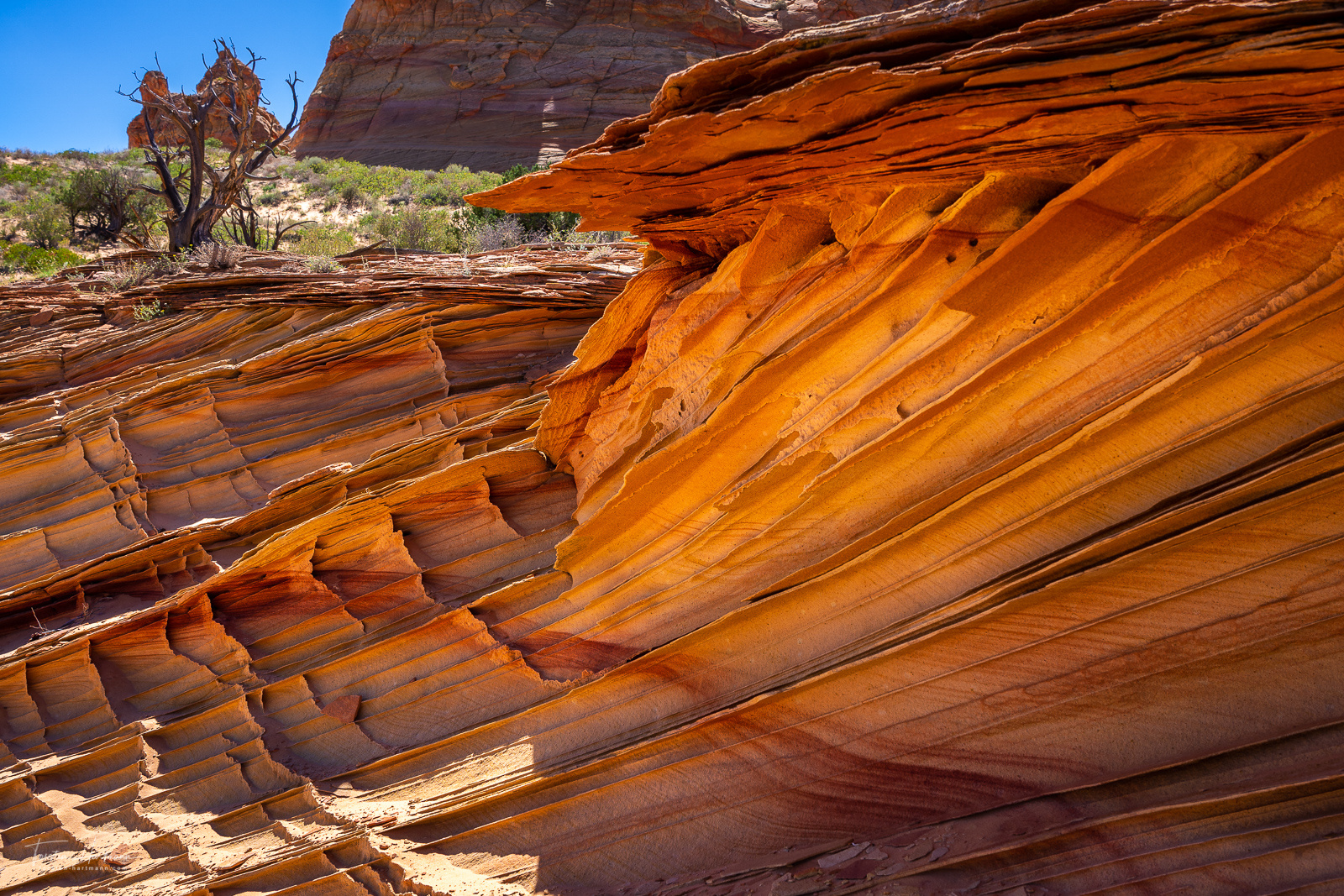 Coyote Buttes South (USA) Foto & Bild | north america, united states ...