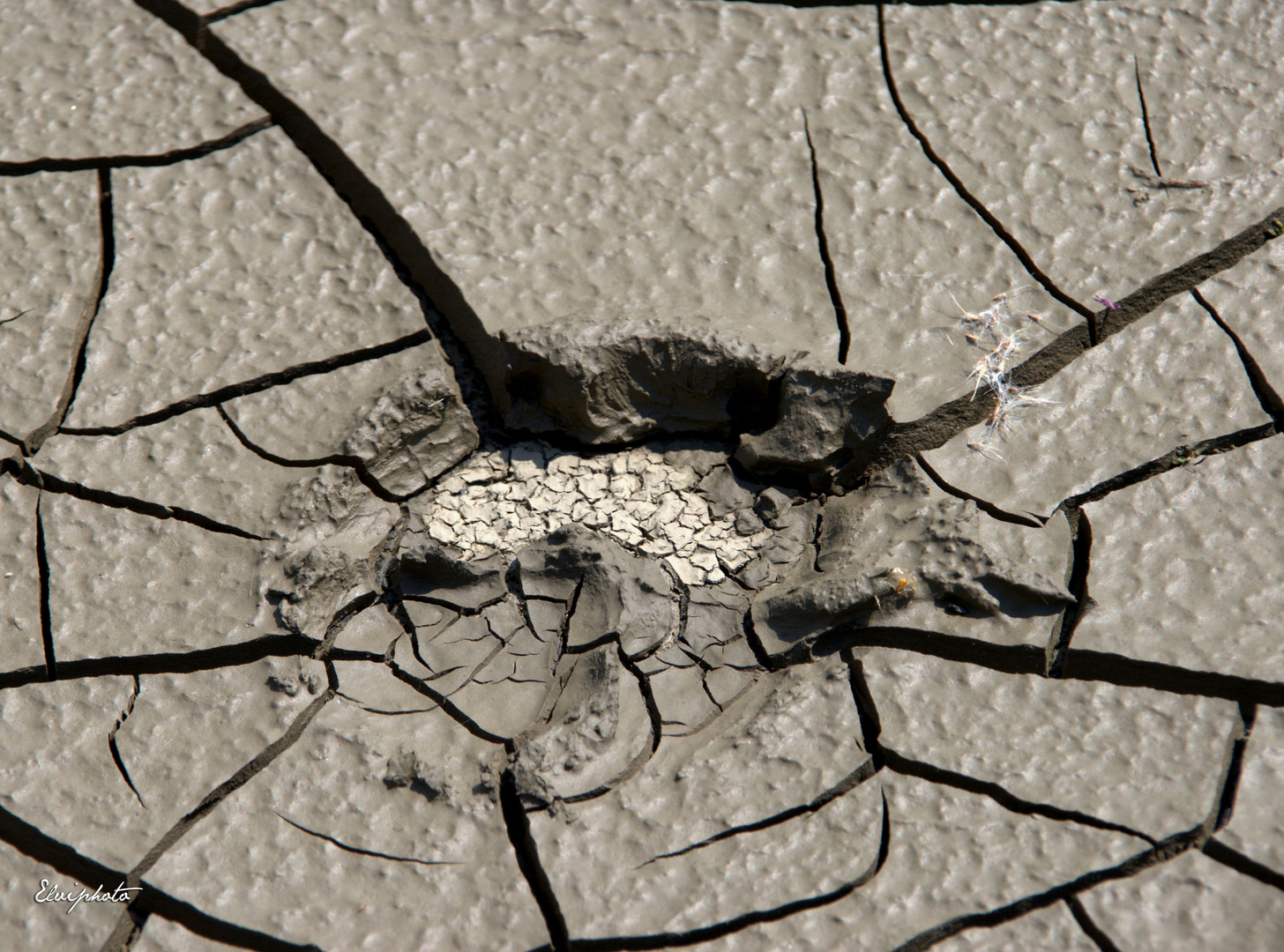 craquelures photo et image | abstrait, abstrait , terre Images ...