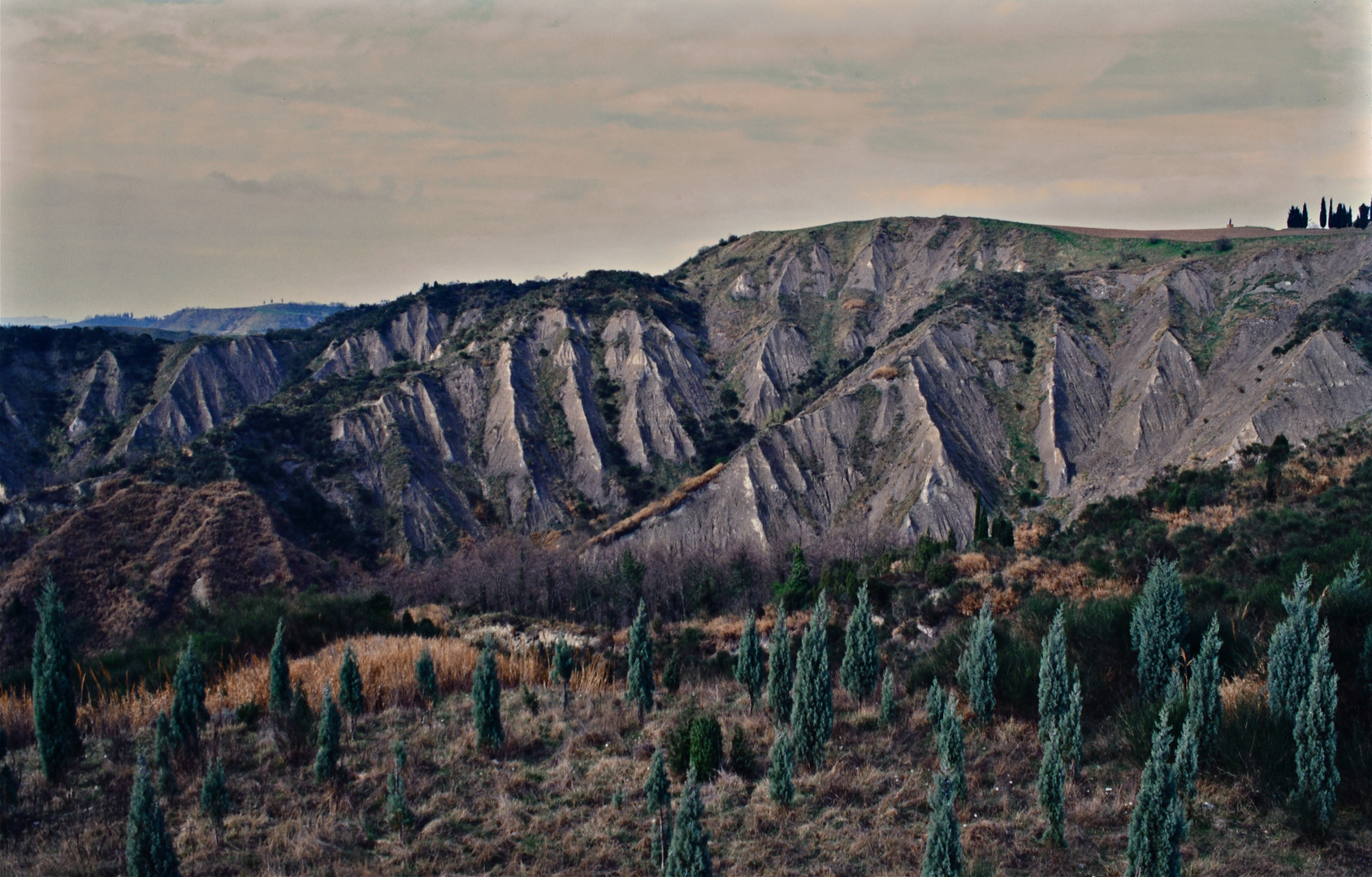 Crete Senesi 01 Foto & Bild | europe, italy, vatican city, s marino ...