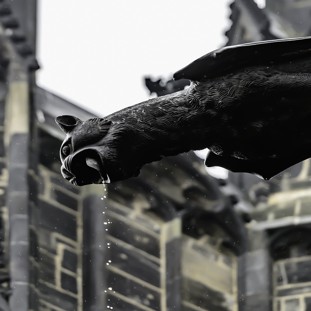 Crying Gargoyle Foto & Bild | dokumentation, januar, winter Bilder auf ...
