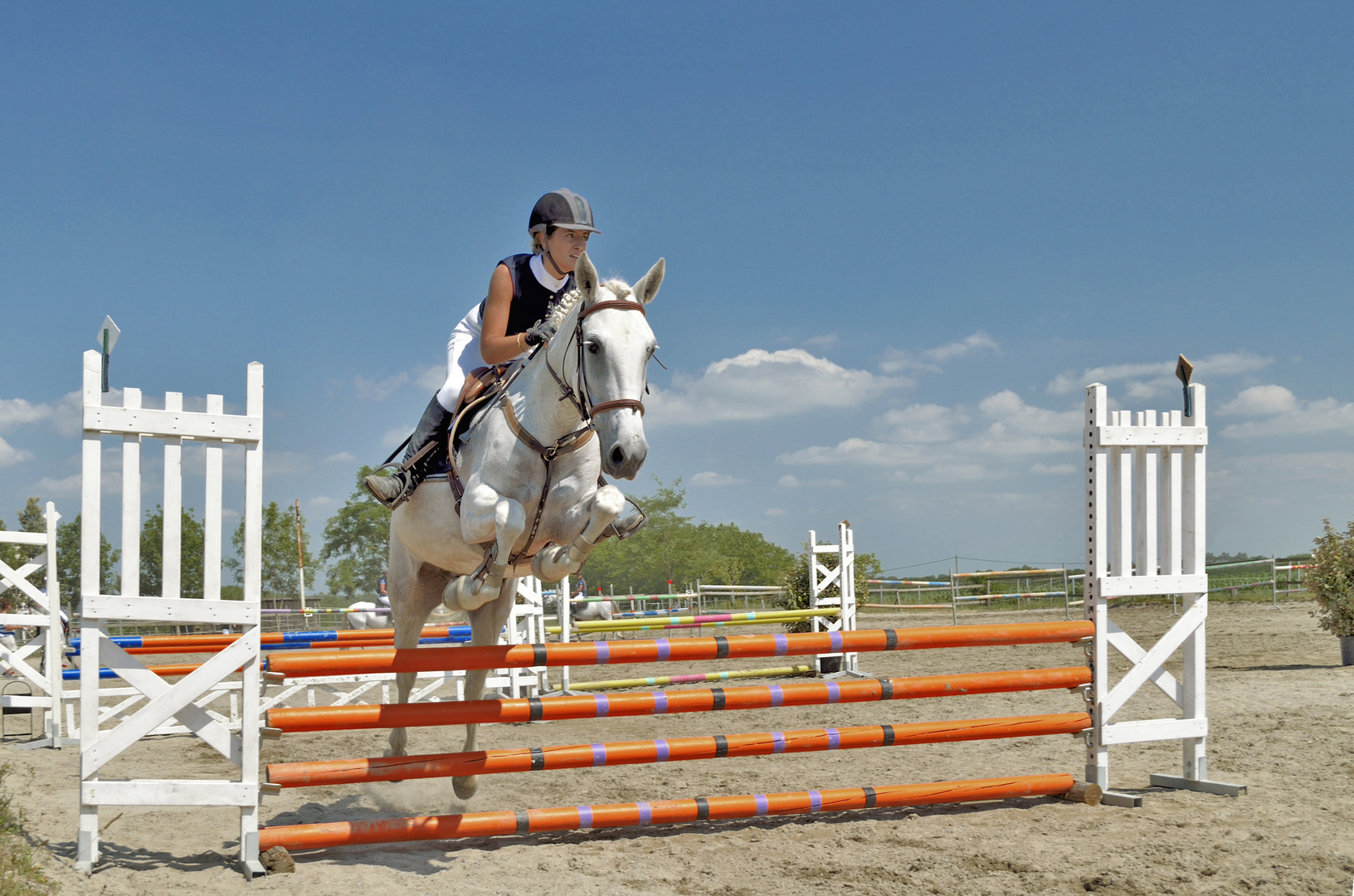 cso photo et image | sports, sports hippiques, animaux Images fotocommunity