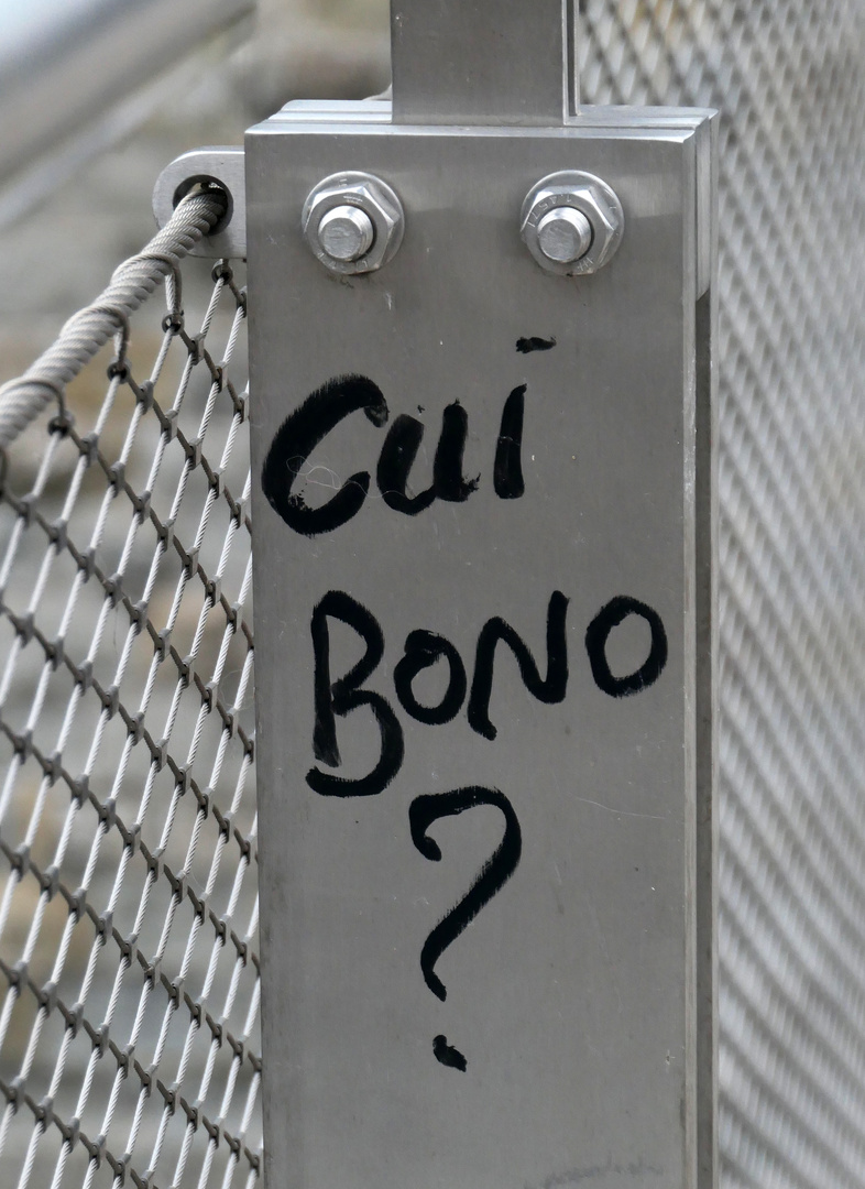 CUI BONO? Foto & Bild | österreich, wien, menschen Bilder auf fotocommunity