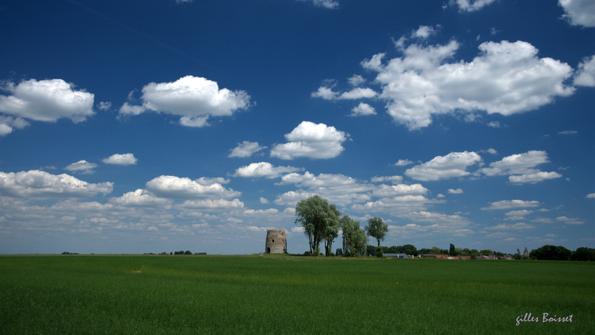 culture du lin en Normandie photo et image | france, nature, world ...