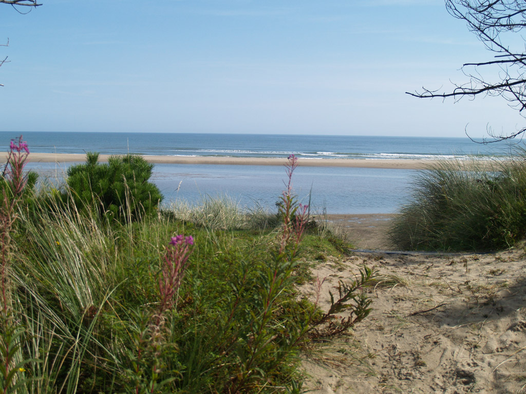 Curracloe beach, Wexford, Irland Foto & Bild | europe, united kingdom ...