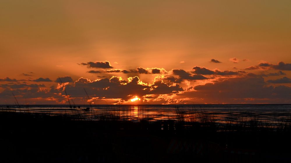 Cuxhaven Foto & Bild | landschaft, meer & strand, watt Bilder auf ...