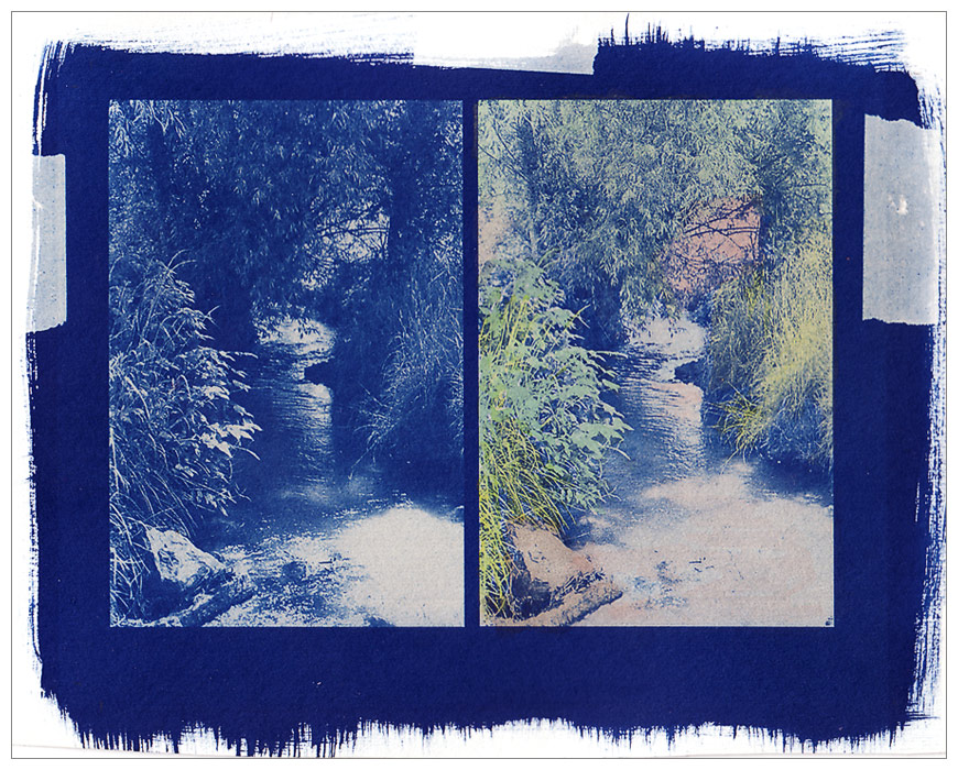 > Foto & Bild | techniken, cyanotypie, labor & druck Bilder auf ...