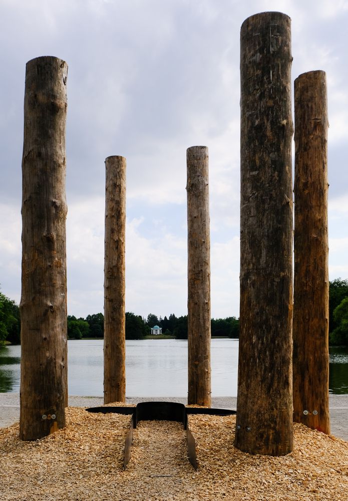 D 15 - Maria-Baum in der Aue Foto & Bild | world, spezial, outdoor ...