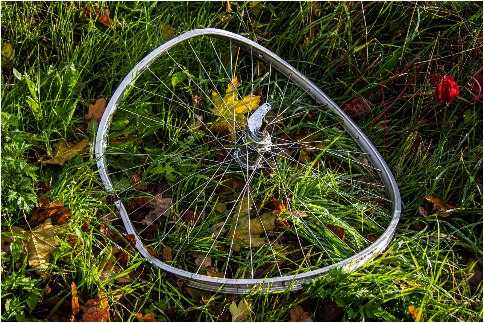 Da hatte wohl Einer ein Rad ab ... Foto & Bild | landschaft, motive ...