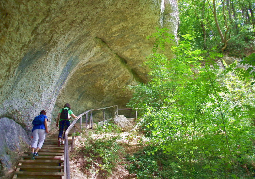 Da hinauf! Foto & Bild | landschaft, wege und pfade, natur Bilder auf ...
