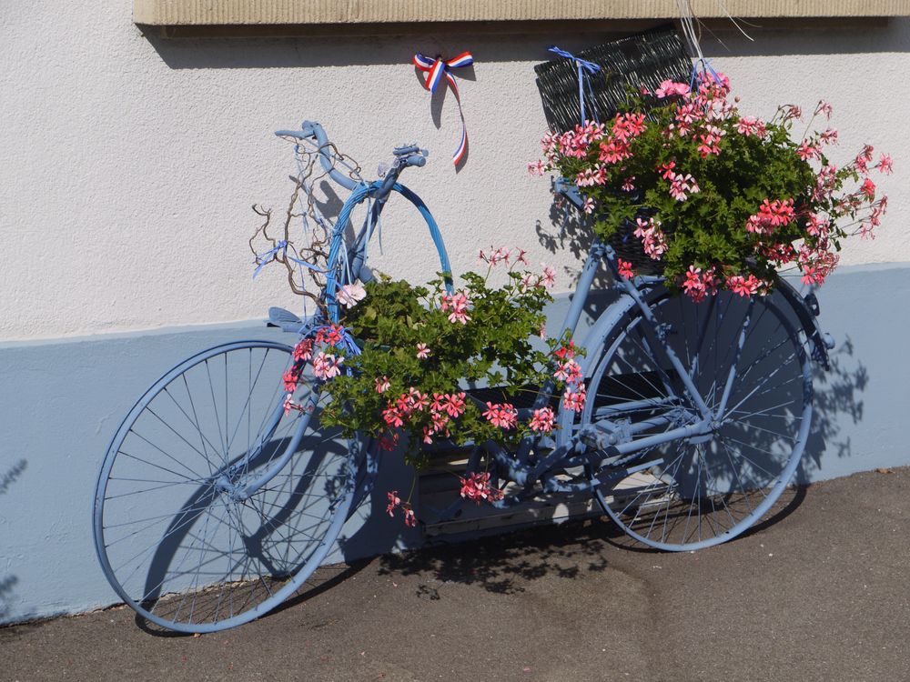 ..da ist die Luft raus... Foto & Bild | spezial, dokumentation, outdoor ...