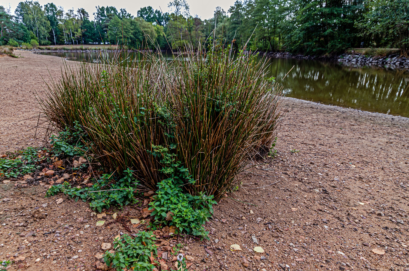 Da war mal mehr drin. Foto & Bild | landschaft, jahreszeiten, sommer ...