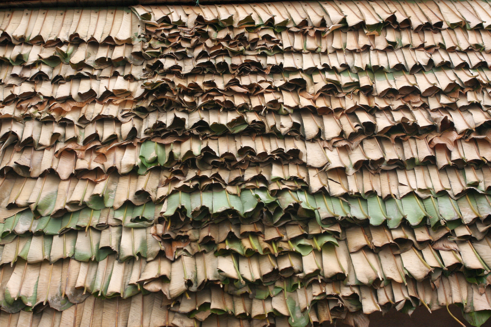 Dach Foto & Bild | asia, malaysia, southeast asia Bilder auf fotocommunity