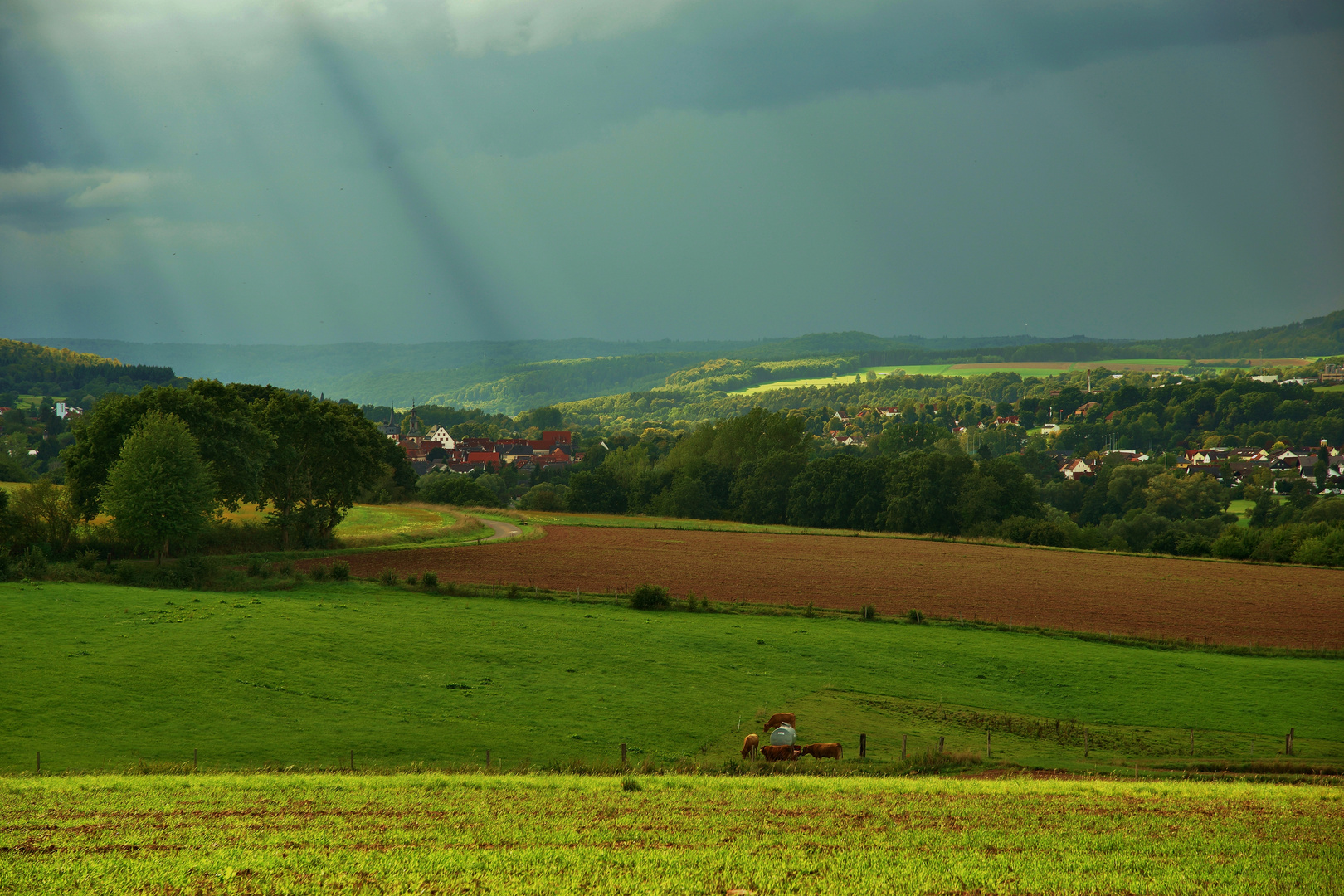 Daheim ist daheim... Foto & Bild | landschaft, Äcker, felder & wiesen ...