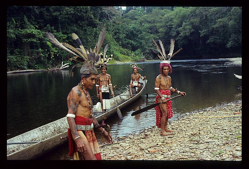 Dajak-4 Foto & Bild | asia, malaysia, southeast asia Bilder auf ...
