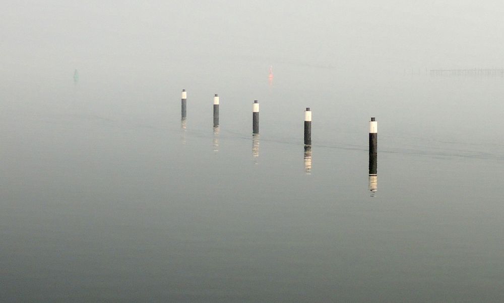 Dalben Foto & Bild | wasser, natur, rügen Bilder auf fotocommunity