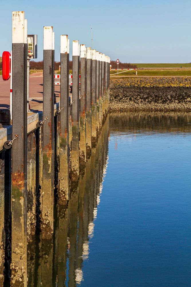 Dalben Foto & Bild | urlaub, fotos, world Bilder auf fotocommunity