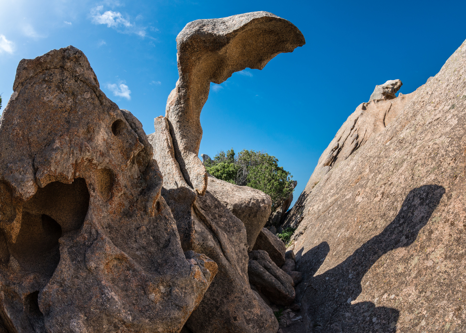 Dali Foto & Bild | natur, italien, landschaft Bilder auf fotocommunity
