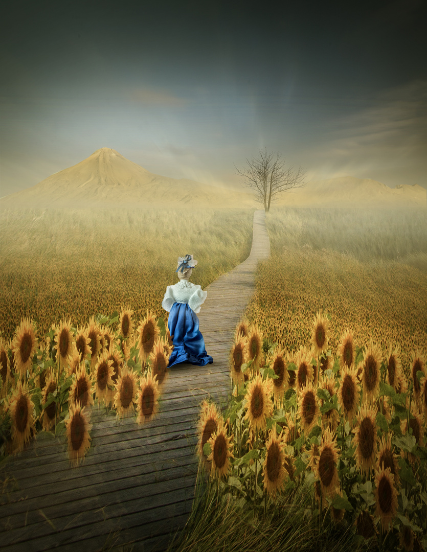 Dame in Blau Foto & Bild | fotomontage, fantasy mystery, surreal Bilder auf fotocommunity