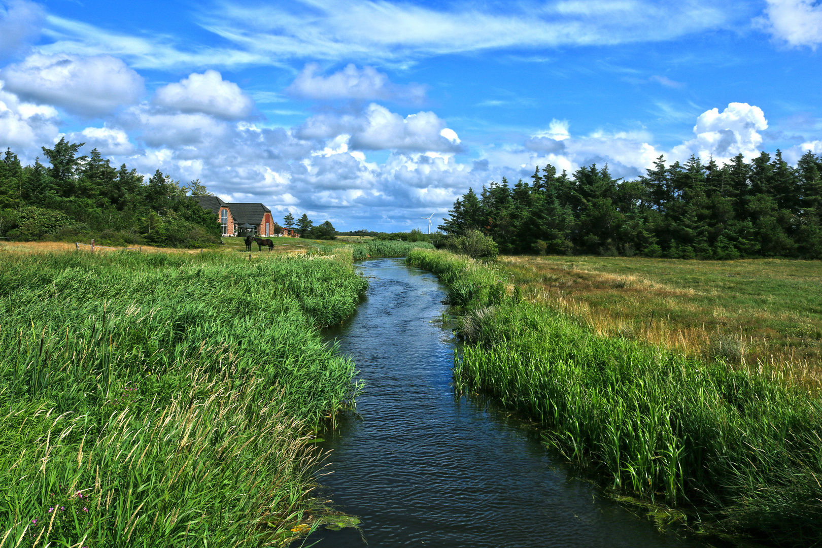 Damhus Å - Ein kleiner Fluss in Jütland Foto & Bild | europe ...
