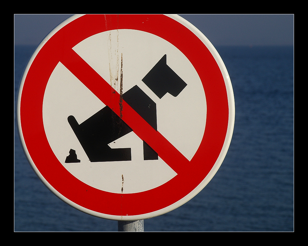 Damit das schon mal klar ist ... Foto & Bild | quatsch, fun und ... Damit das schon mal klar ist ... Foto & Bild | quatsch, fun und ...