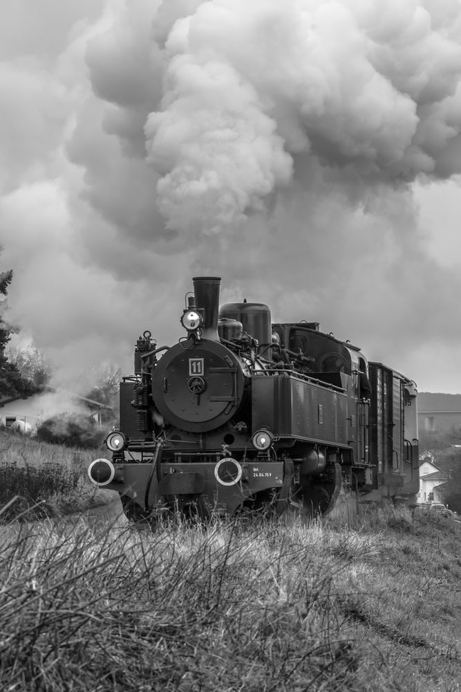 Dampfer Foto & Bild | fotos, spezial, dokumentation Bilder auf ...