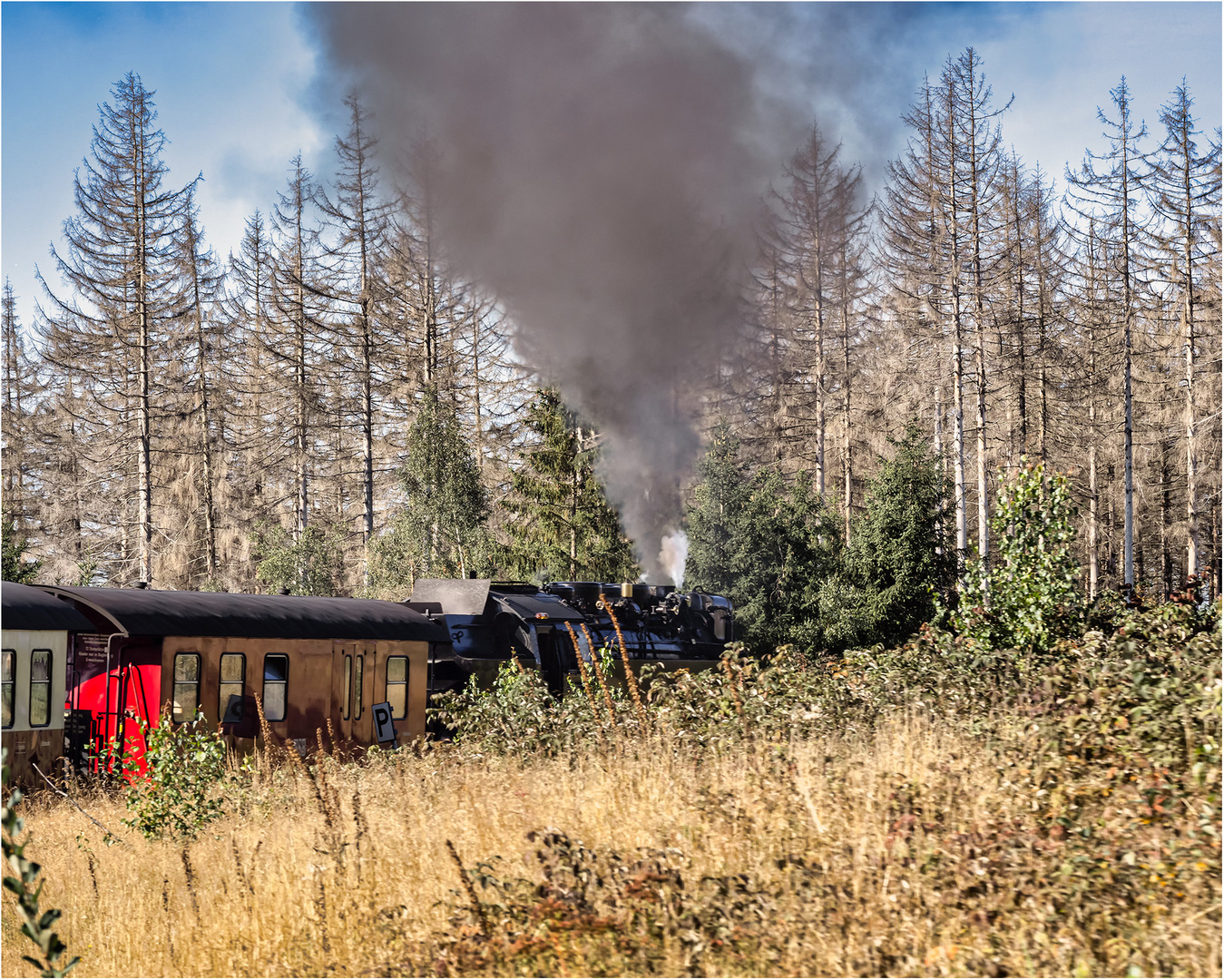 Dampflokomotive 99234..... Foto & Bild | wald, bäume, bahnhof Bilder ...