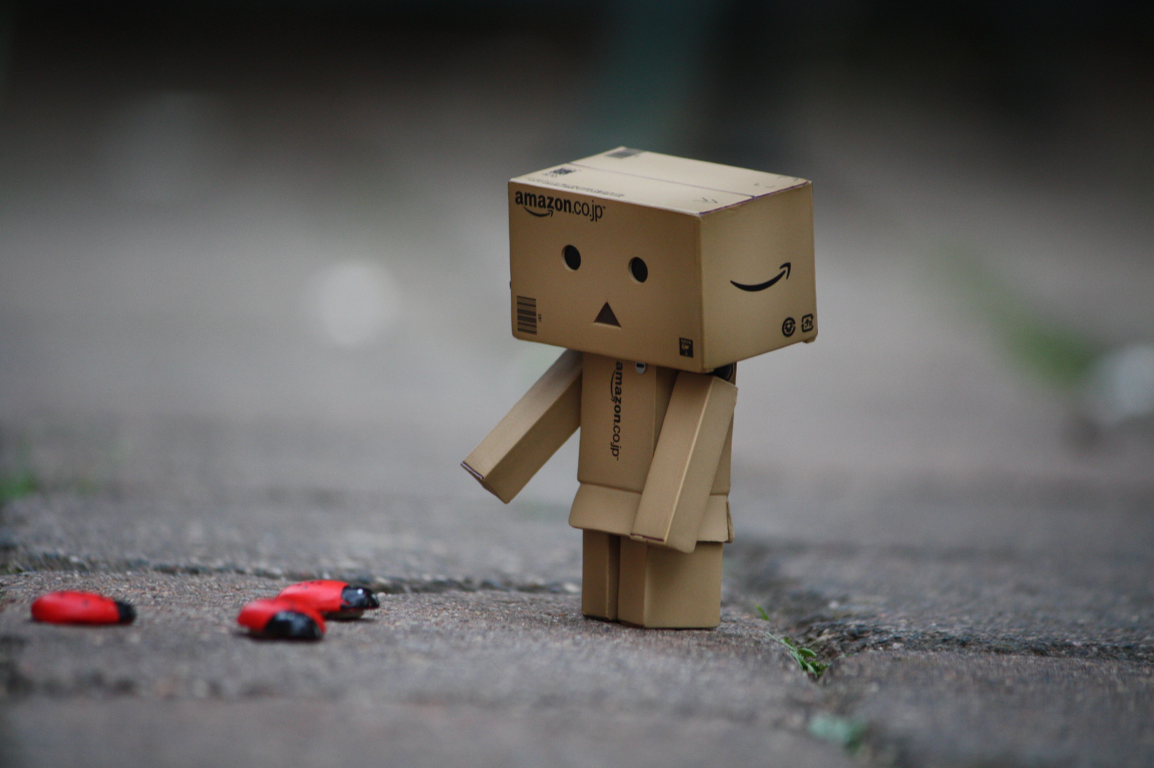 Danbo Foto & Bild | stillleben, figuren und miniaturen, figur Bilder ...