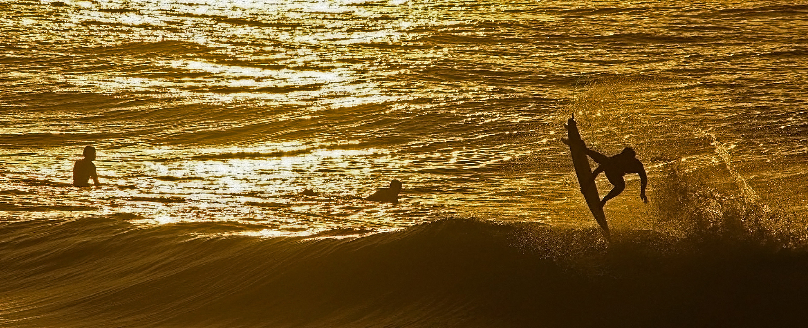 dance on the Wave photo et image | france, nature, automne Images ...