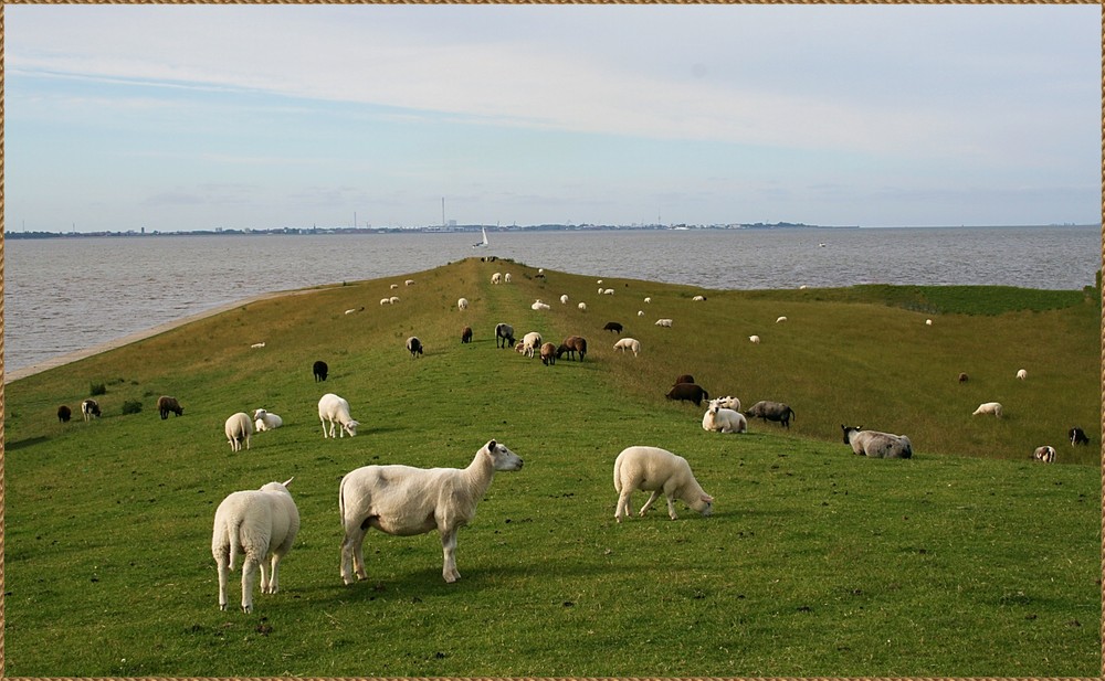Dangast am Jadebusen Foto & Bild | landschaft, lebensräume, oldenburg ...