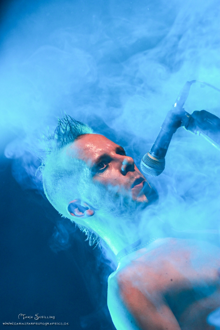 Daniel De Clercq "Unzucht" Foto & Bild | konzertfotografie ...