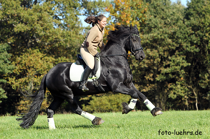 _DANKE !!!!_ Foto & Bild | tiere, haustiere, pferde, esel, maultiere ...